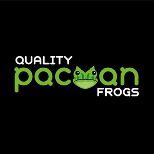 Quality Pac-Man Frogs - MorphMarket