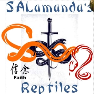 Salamanda's Reptiles - MorphMarket
