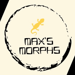Max's Morphs - MorphMarket