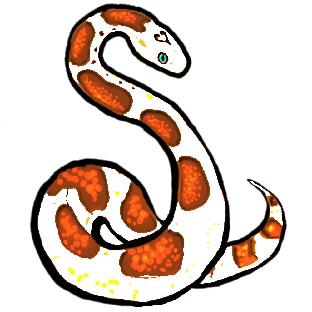 Corn Snake Clutch: 2023-91 by Sarah's Snake Shop, LLC - MorphMarket