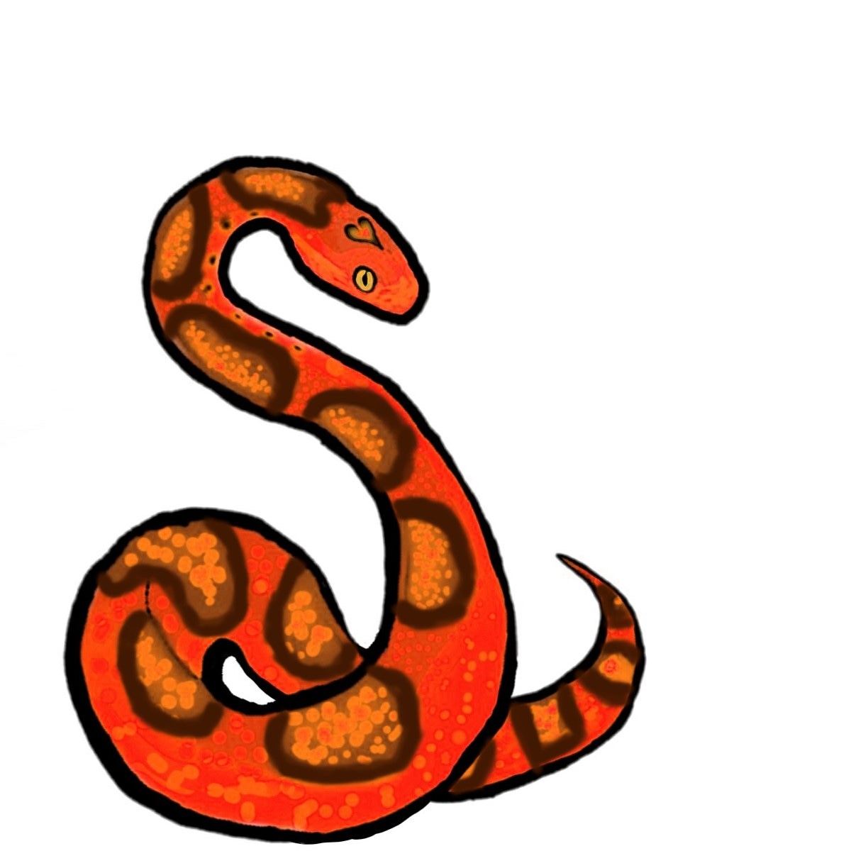 Corn Snake Clutch: 2023-89 by Sarah's Snake Shop, LLC - MorphMarket