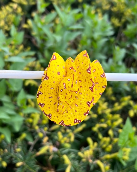 Baby Biak Green Tree Python by SATOO