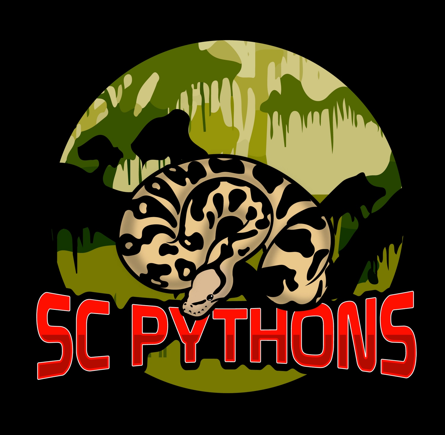Ball Python Clutch: C22102 by SC Pythons - MorphMarket