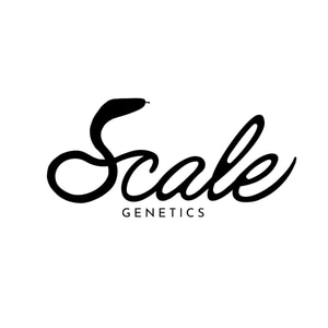 Scale Genetics Group - MorphMarket