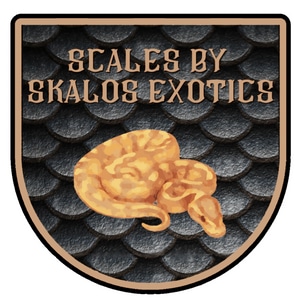 Scales by Skalos Exotics - MorphMarket