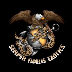 Semper_Fidelis_Exotics - MorphMarket