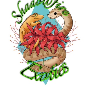 Shadowfire Exotics - MorphMarket