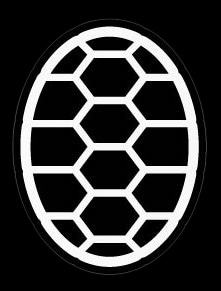 Shellwork - MorphMarket