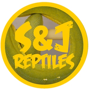 S&J Reptiles - MorphMarket