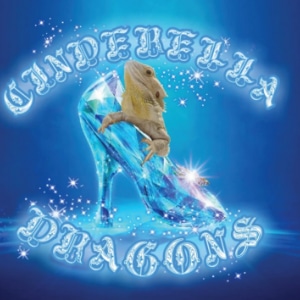 Cinderella Dragons - MorphMarket