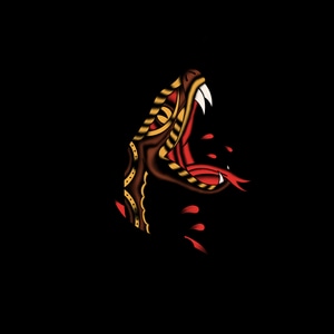 Kinchyle Reptiles - MorphMarket