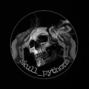 Skull Pythons - MorphMarket