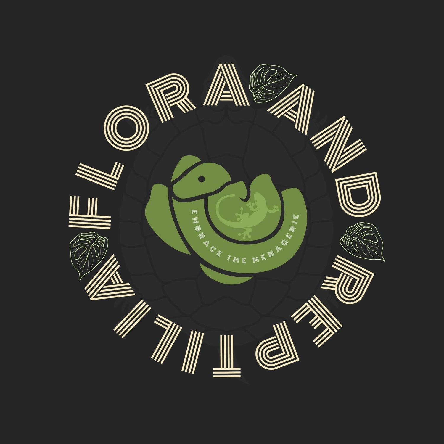 Centralian Carpet Python Clutch: NA by Flora and Reptilia - MorphMarket