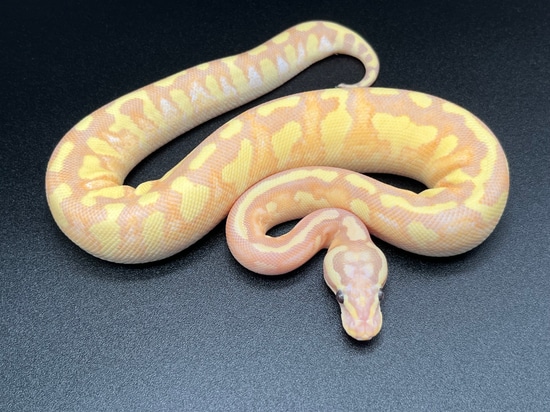 Banana Pastel Enchi Super Asphalt Pos Het Desert Ghost/Candy Ball ...