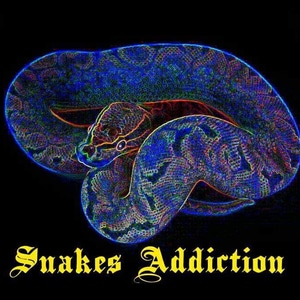 SnakesAddiction - MorphMarket