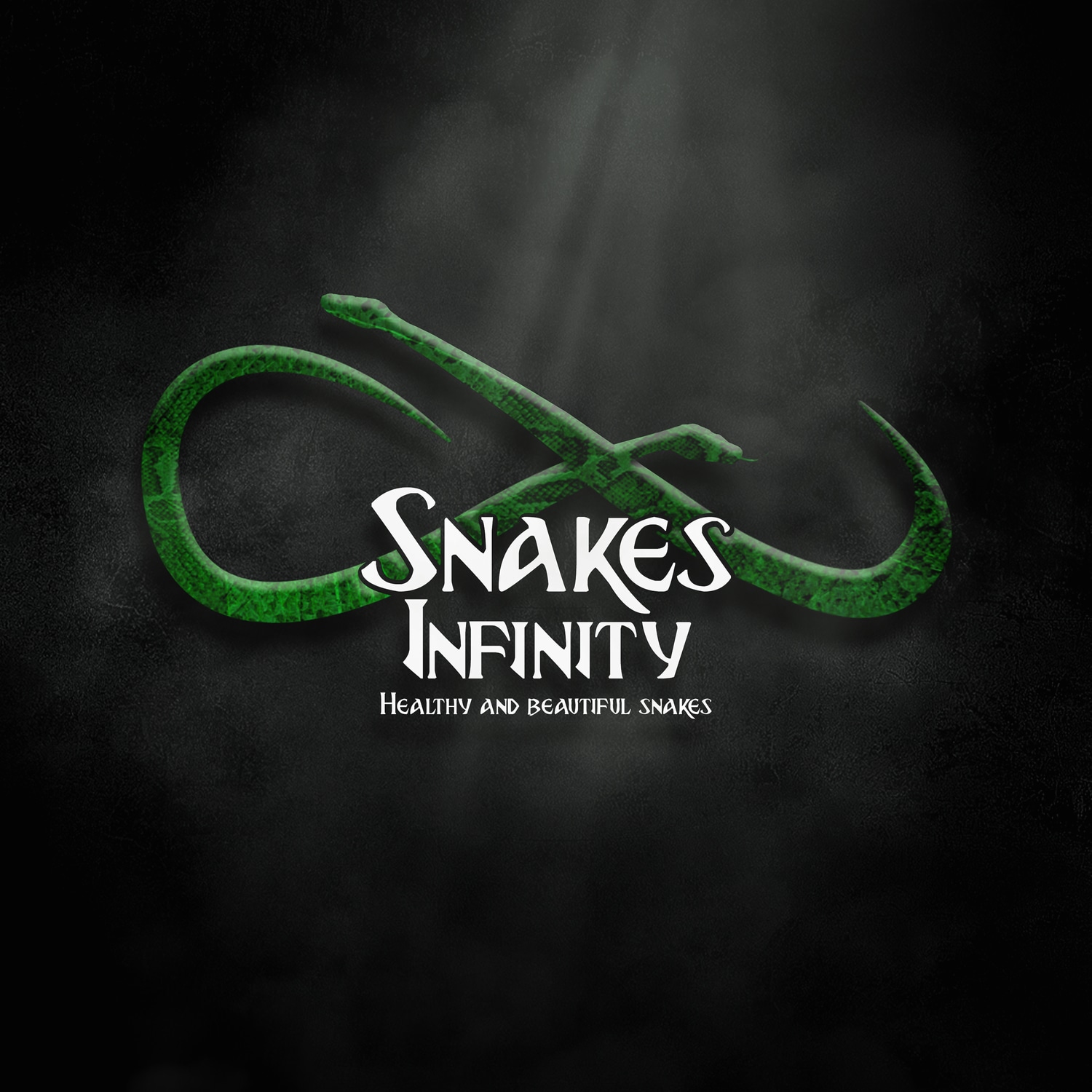 Ball Python Clutch: 8/2016 by Snakes Infinity - MorphMarket