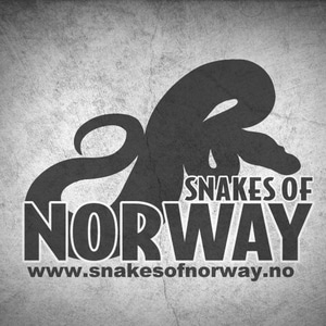 Snakes of Norway - MorphMarket