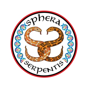 Sphera Serpentis Reptiles - MorphMarket