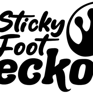 Sticky Foot Geckos - MorphMarket
