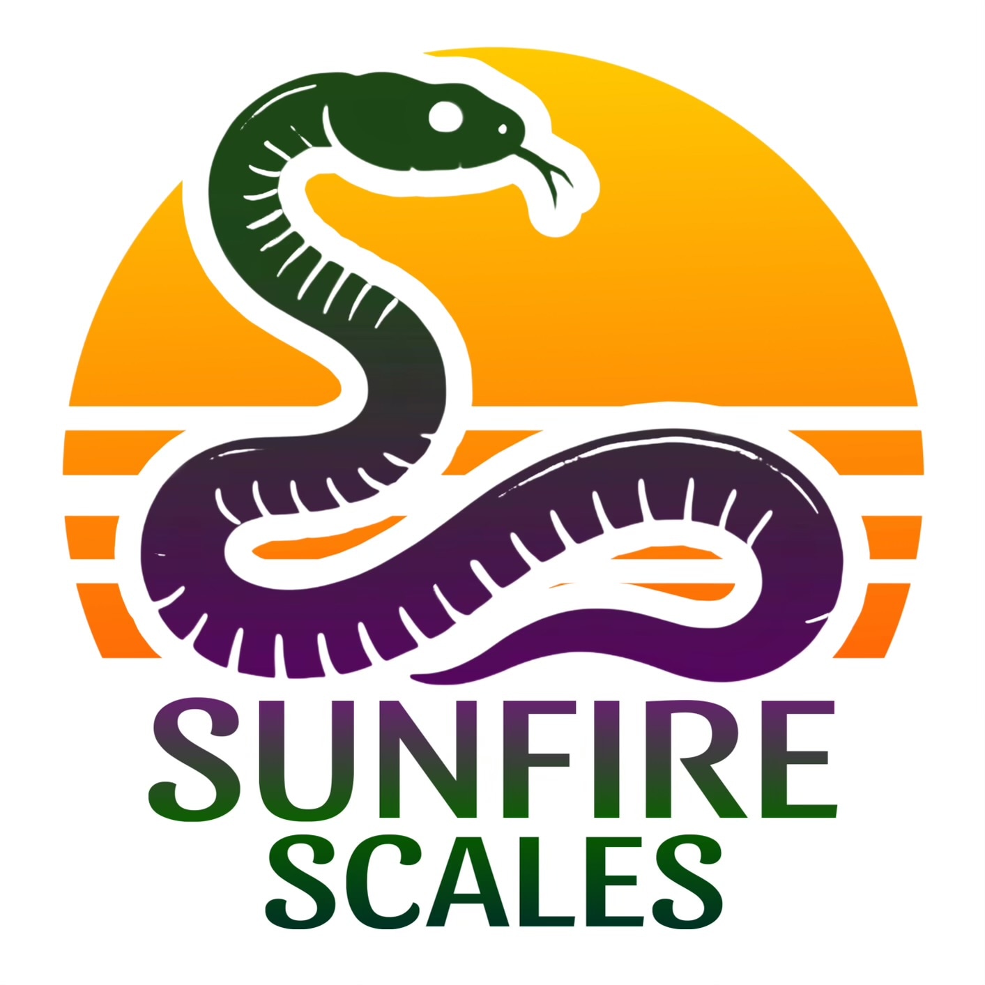 Sunfire Scales OC's Collection - MorphMarket