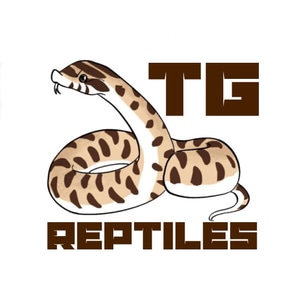 TG Reptiles - MorphMarket