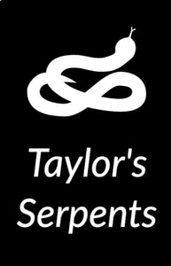 Taylor’s serpents - MorphMarket