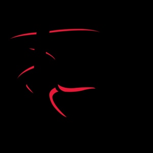 TC Morphs - MorphMarket