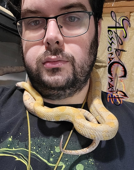 Anachronos, Sundust Corn Snake by TesseraCraft