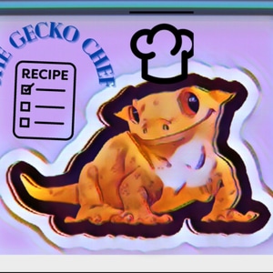 The_gecko_chef - MorphMarket