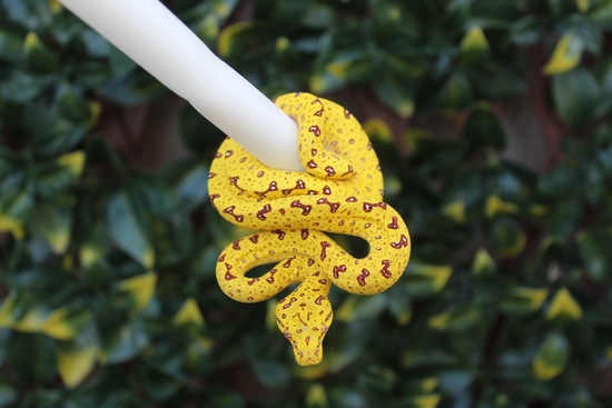 Yellow Biak Green Tree Python by The Breeding Laboratory