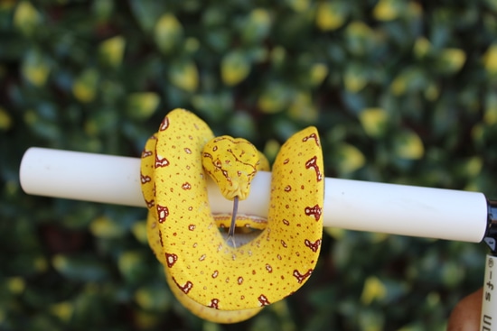 Yellow Biak Green Tree Python by The Breeding Laboratory