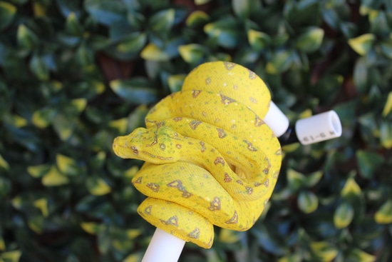 Yellow Biak Green Tree Python by The Breeding Laboratory
