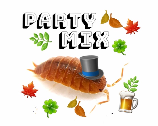 Powder Party Mix - 10+ Count Isopod by The Vivarium