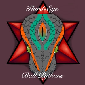 Third Eye Pythons - MorphMarket
