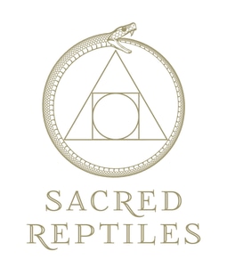 Green Pastel Bamboo Ball Python by Sacred Reptiles - MorphMarket