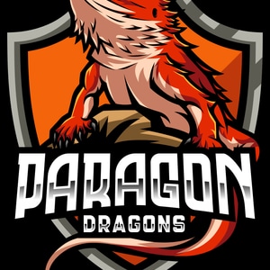 Paragon Dragons - MorphMarket