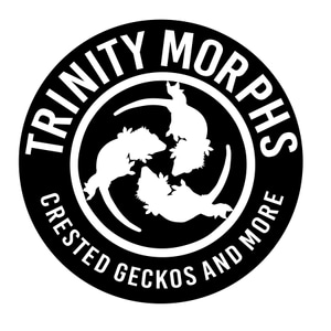 Trinity Morphs - MorphMarket