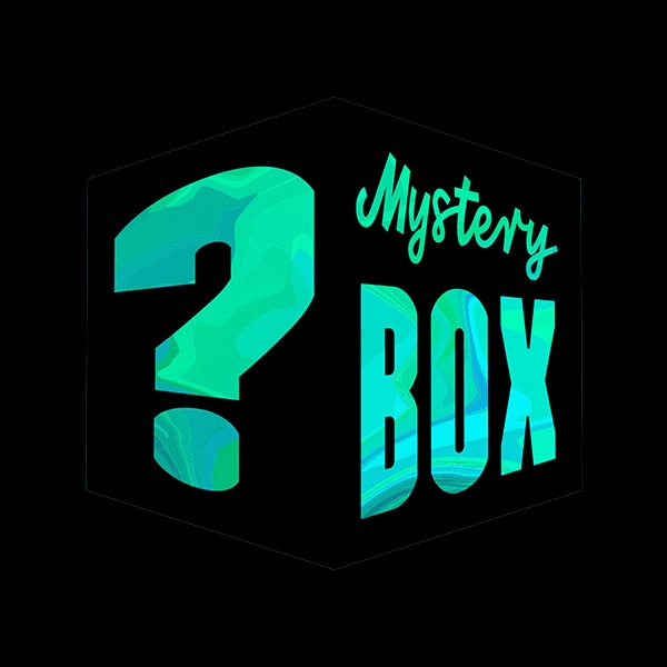 Mystery Invert Box Other Invertebrate by NCS Critters - MorphMarket