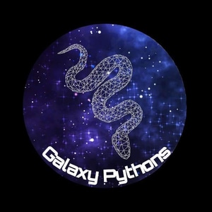 Galaxy Pythons - MorphMarket