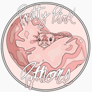 Pretty Pink Pythons - MorphMarket
