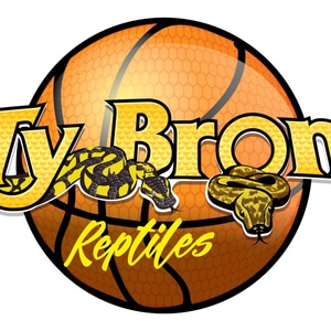 TyBron_Reptiles - MorphMarket