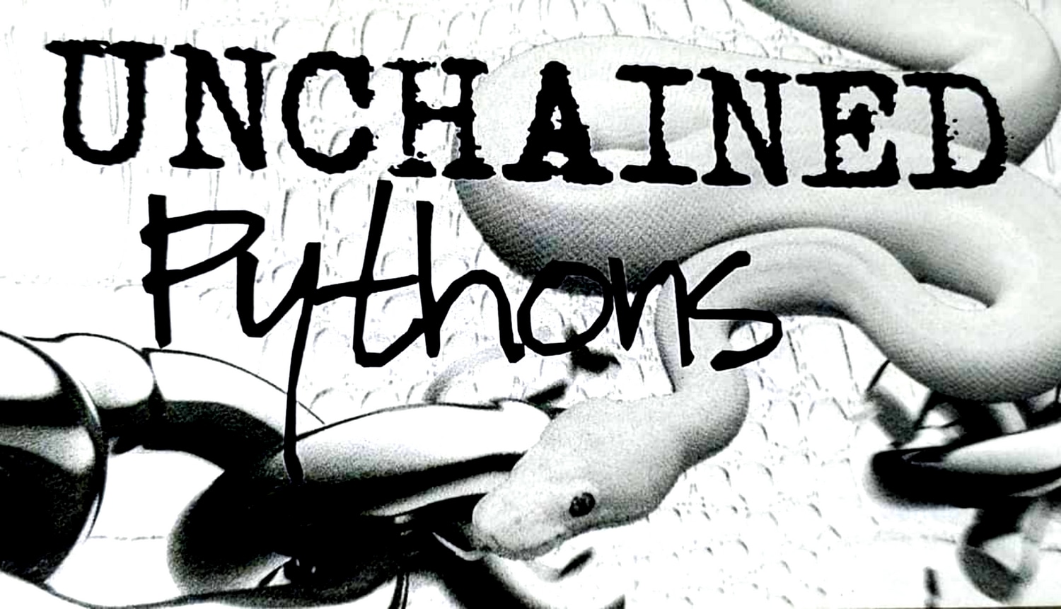 Ball Python Clutch: 2022-A1 by Unchained Pythons LLC - MorphMarket