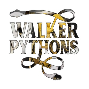 Grey Matter Ball Python by Walker Pythons - MorphMarket