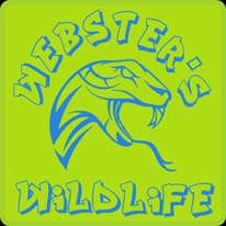 Webster's Wildlife - MorphMarket