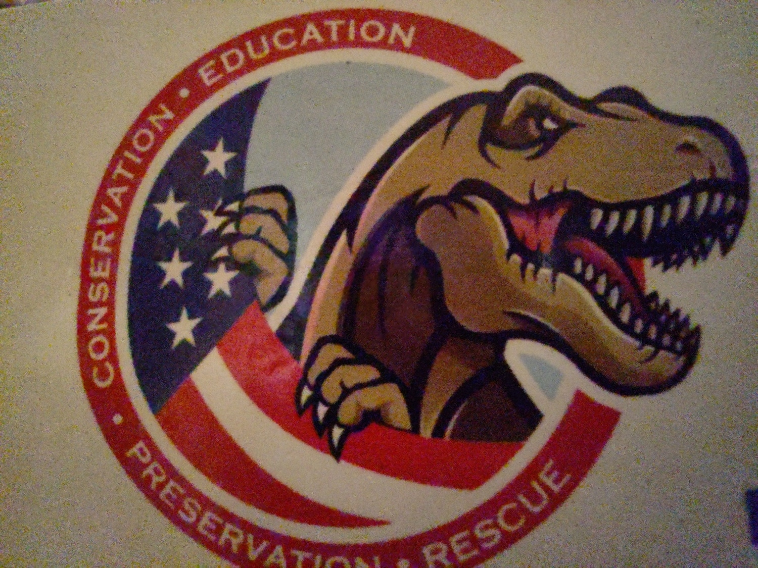 Boa Constrictor Litter: super/hypo/leopard/66/het/Costa/Rican/albino by ...