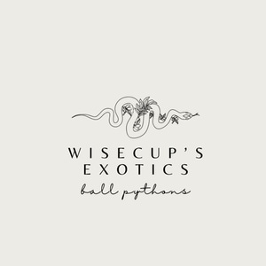 Wisecup’s Exotics - MorphMarket
