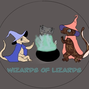 Wizards of lizards - MorphMarket