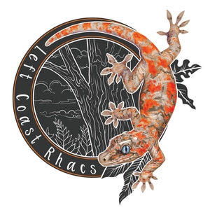 Left Coast Rhacs - MorphMarket