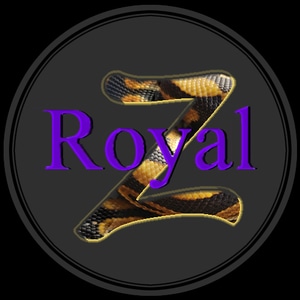 Royal Z Pythons - MorphMarket