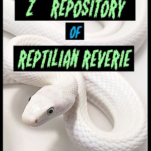 Z Repository of Reptilian Reverie - MorphMarket